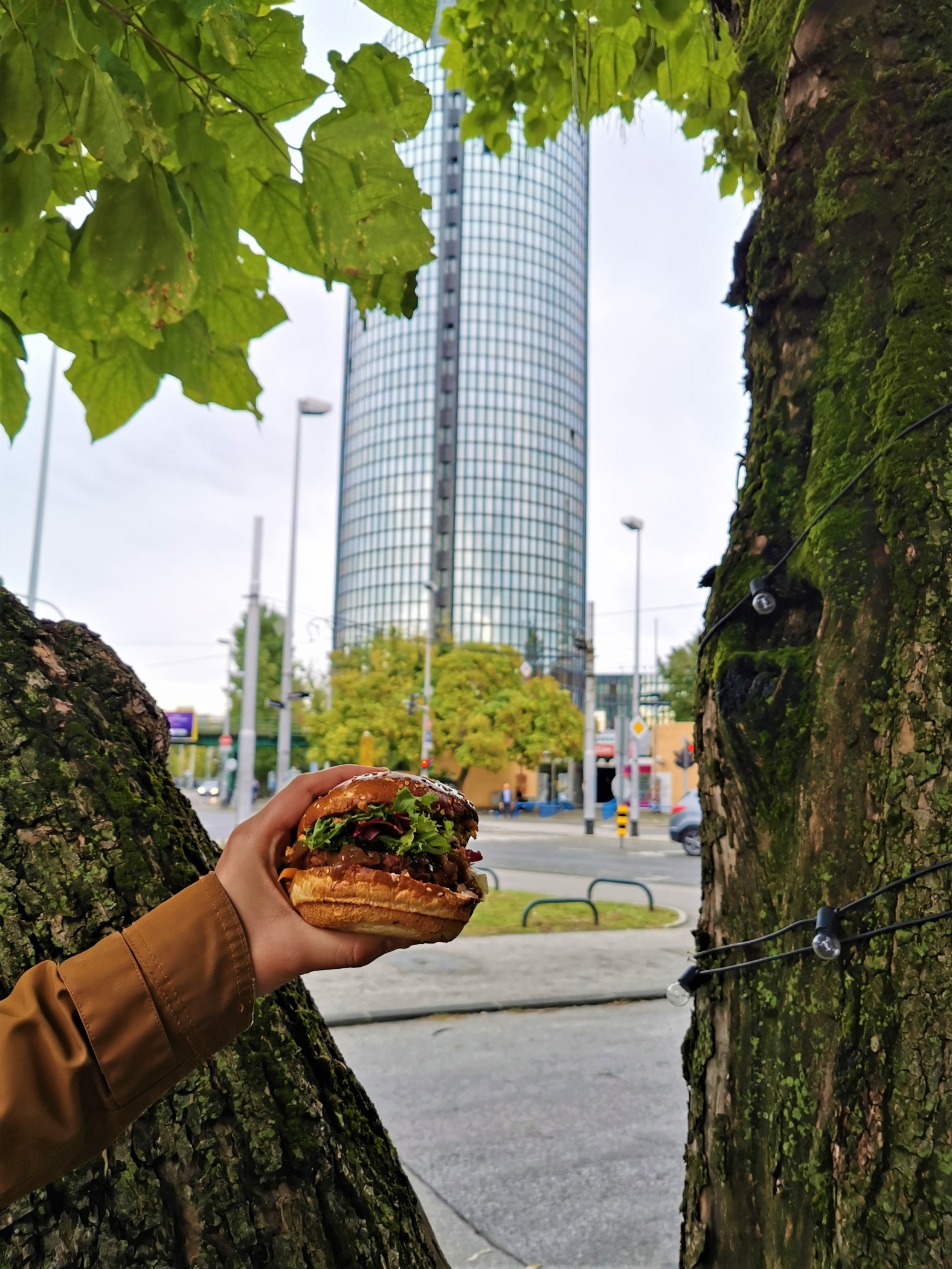 Plant Punk je ugodna oaza veganskih i bezglutenskih jela - Eat Out Zagreb